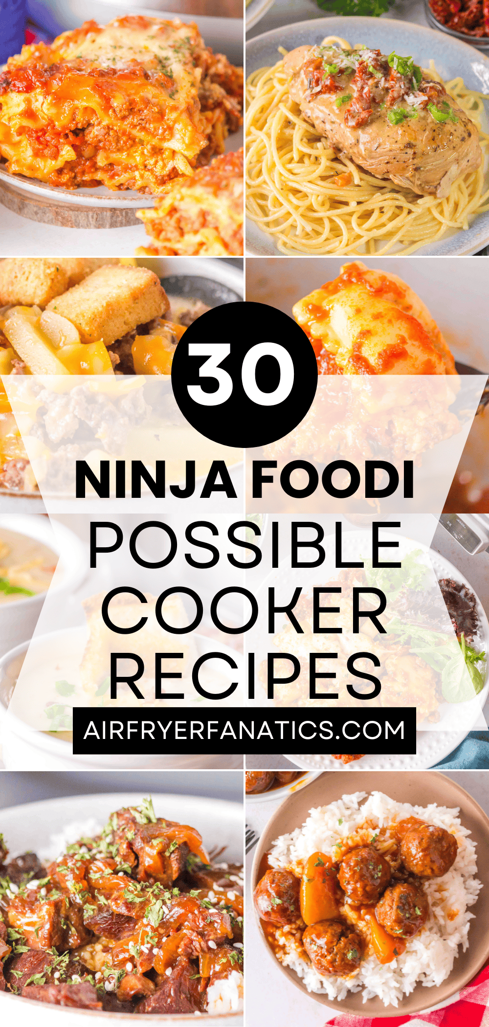 30 Easy Ninja Possible Cooker Recipes - Air Fryer Fanatics